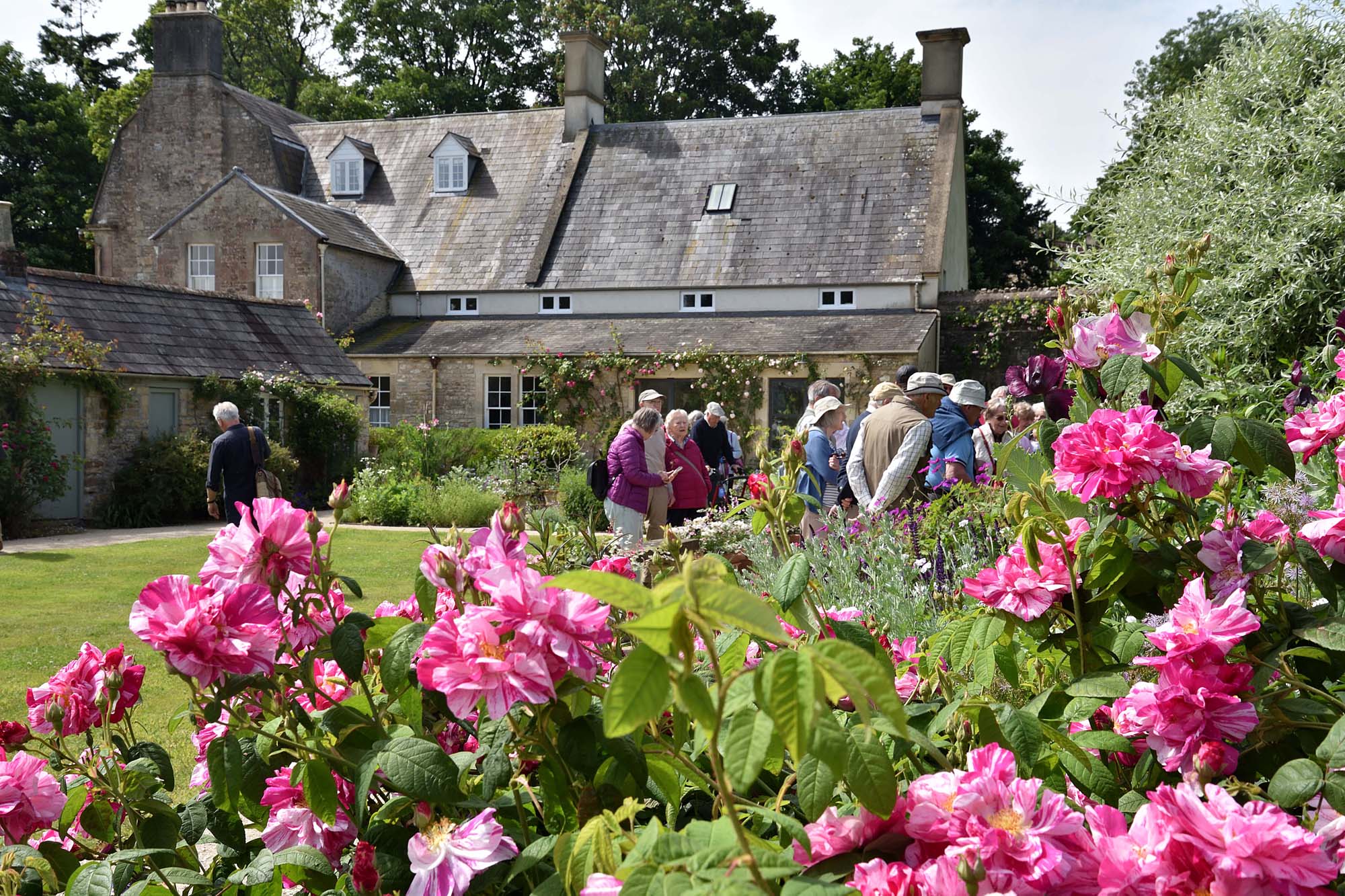 Batcombe House « Cumnor Gardening Club